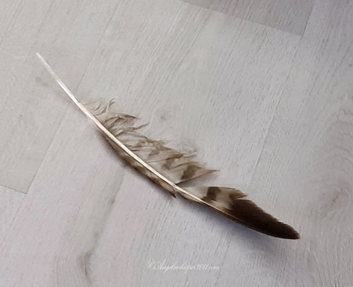 Angelswhisper2011 | Me and my Granny