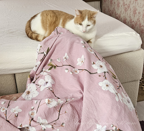 Wordless Wednesday | Angelswhisper2011