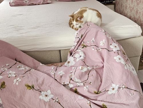 Wordless Wednesday | Angelswhisper2011